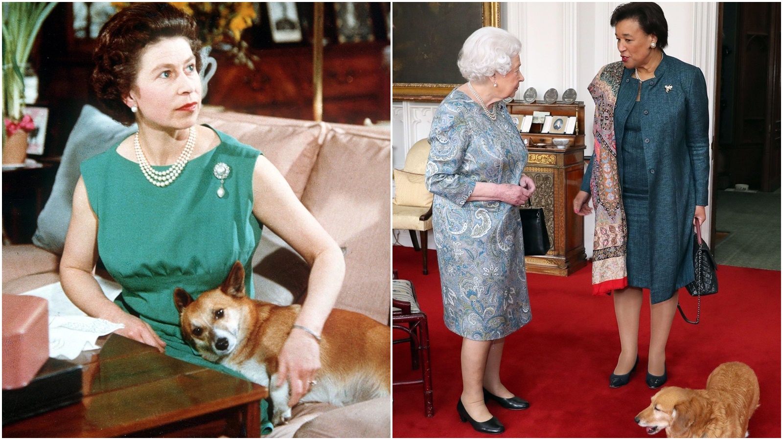 Žádná roztomilá stvoření. Milovaní psi královny Alžběty II. byli pěkní ...