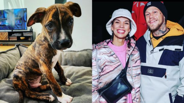 Ještě spolu nebydlí, ale už mají štěně! Radka Pavlovčinová a Adam ...